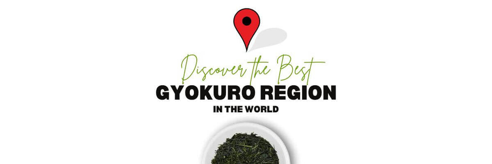 We reveal you the #1 Best Gyokuro Tea Brand in the World – Nio Teas